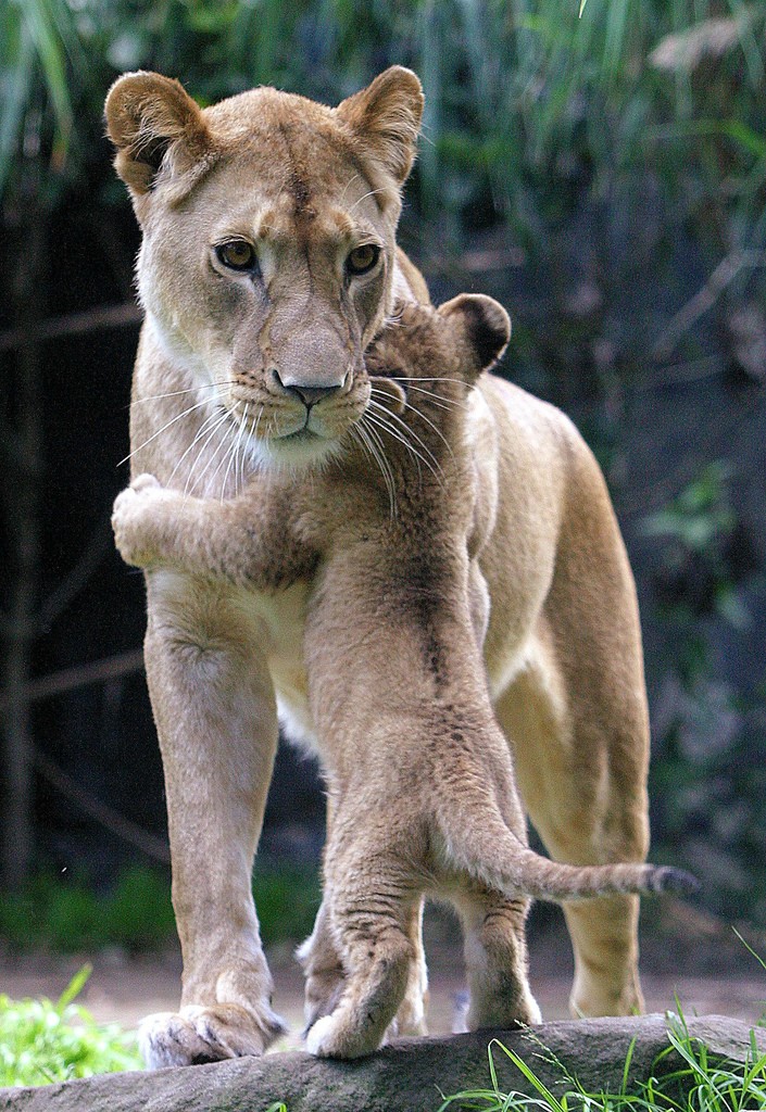 Happy Pictures: A hug for mom