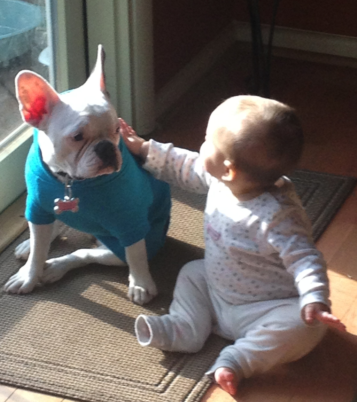 Baby and Puppy - Love