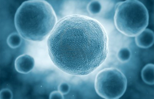 Here's Some Mind Blowing Facts That Will Change How You See The World