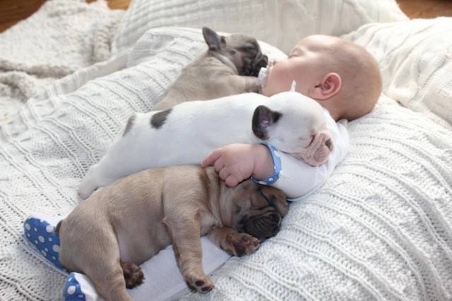 Puppies napping with the baby: Keeping Warm