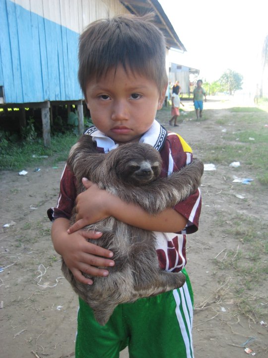 Sloth Hugging Child
