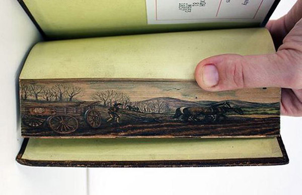 You'll Never Look At Books The Same After Seeing These Incredible ...