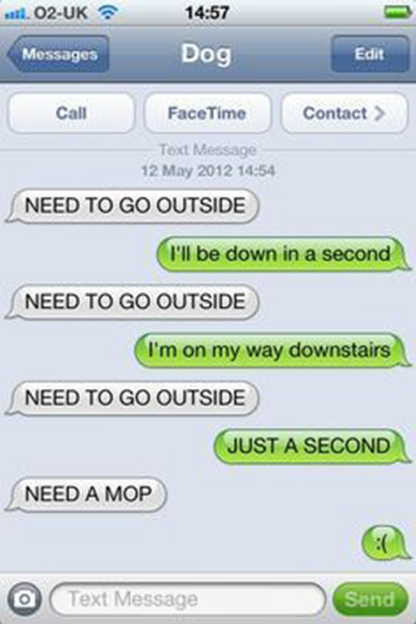 This Is What Life Would Be Like If Our Dogs Could Text Message LOL!