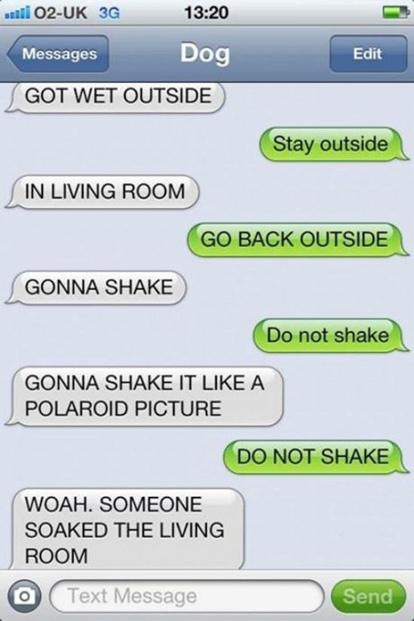 This Is What Life Would Be Like If Our Dogs Could Text Message LOL!