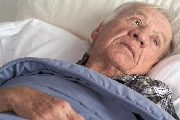 Fun Amazing Articles Trending On The Web