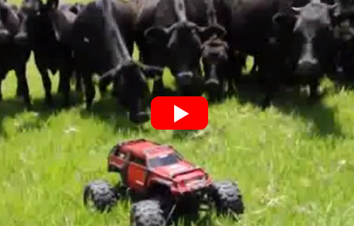 Woman Goes Viral For Hilarious Post-Surgery Conversations With Mom And ...