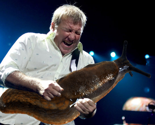 Guitarists Playing Slugs, Because Why Not?