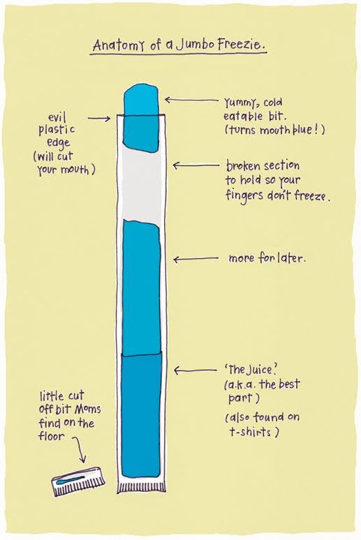 Anatomy of a freezie pop