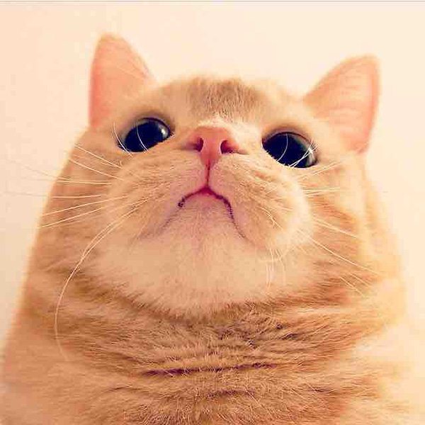 When you accidentally open your front facing camera