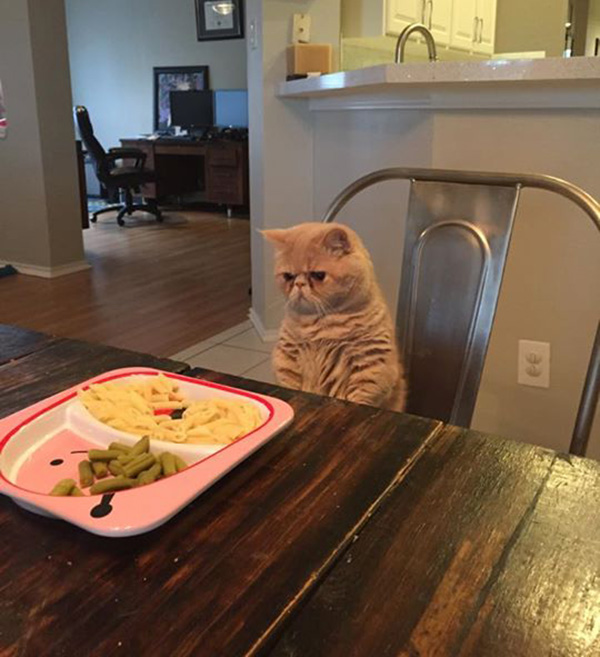 George is not happy about pasta for dinner