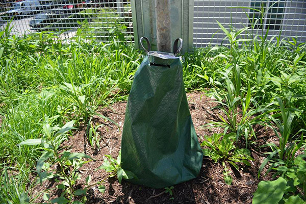 20 Photos Of Inanimate Objects That Appear To Be Super Happy