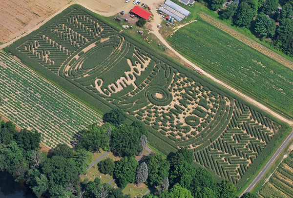 This Farm In Massachusetts Creates Awe-Inspiring Corn Mazes Every Year