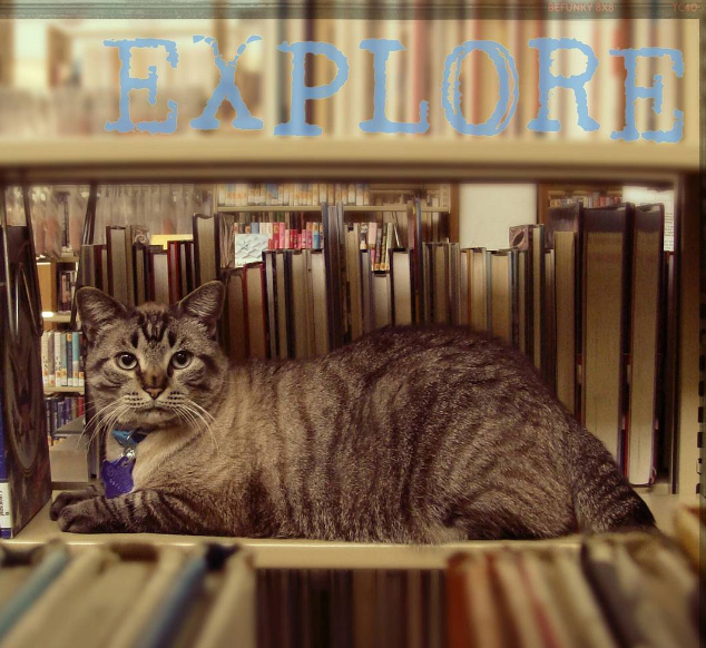 This Cat Just Got Fired From His Job At The Library And Everyone's Upset
