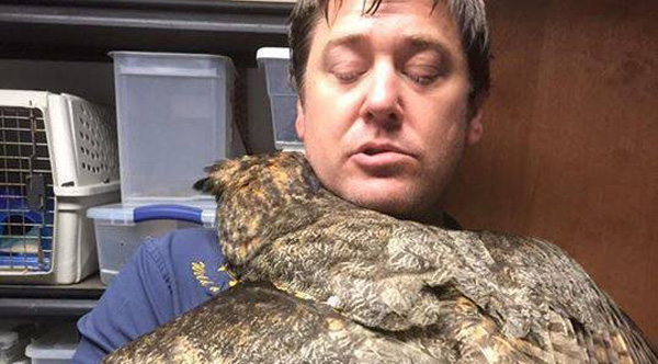 This Owl Can't Stop Hugging The Man Who Rescued Her