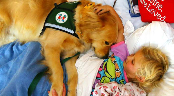 Therapy Dogs At Australian Hospital Reduce Kids' Recovery Time By 30%