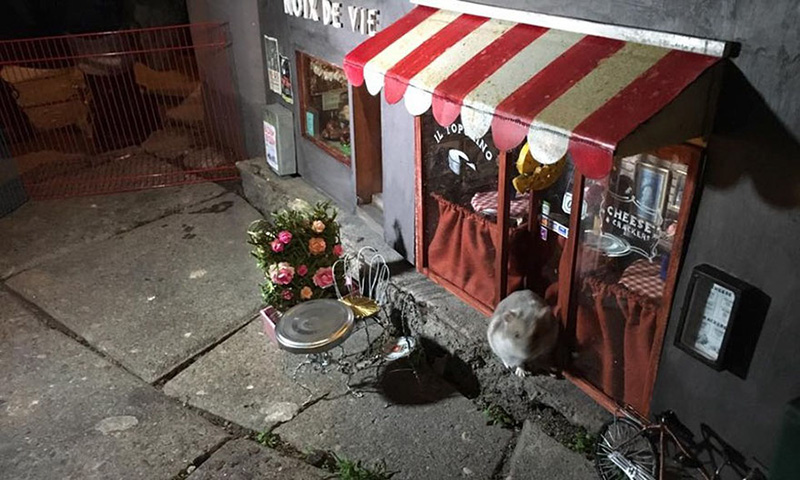 These Tiny Mouse Shops In Sweden Will Fill Your Heart With Delight