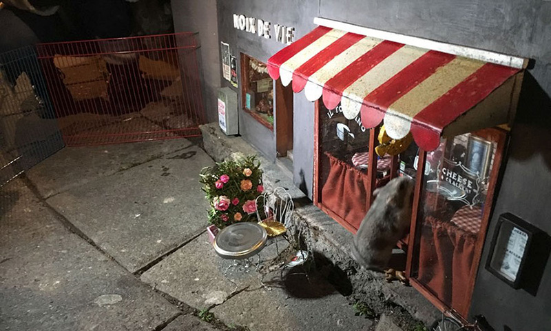 These Tiny Mouse Shops In Sweden Will Fill Your Heart With Delight