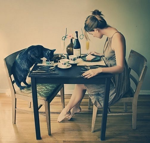 11 adorably romantic dinner dates that will make you and your cat jealous