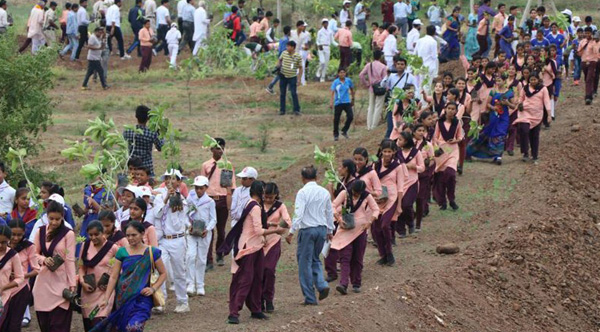 Indian Volunteers Plant 66 Million Trees In Just 12 Hours