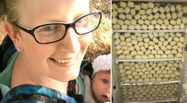 This Mom Has Donated 5,000 Pints Of Breast Milk To Help Feed Premature ...