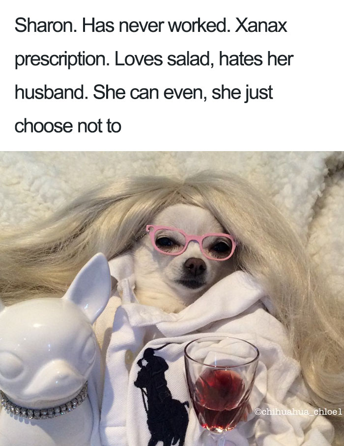 15 Dog Bios That Will Definitely Remind You Of Someone You Know