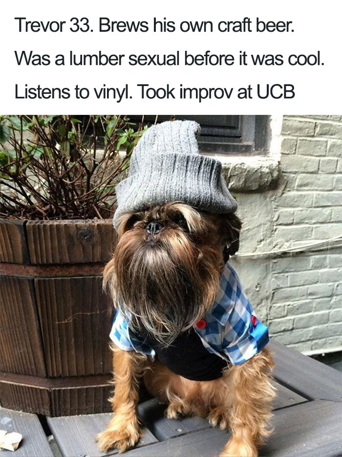 15 Dog Bios That Will Definitely Remind You Of Someone You Know