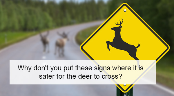 After Numerous Requests, The DOT Has To Remind People That Deer Cannot ...