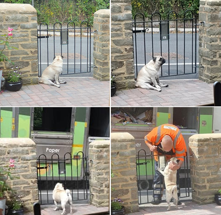 Walter and the garbage man