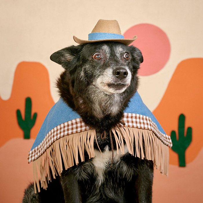 Had some professional shots taken of our dog