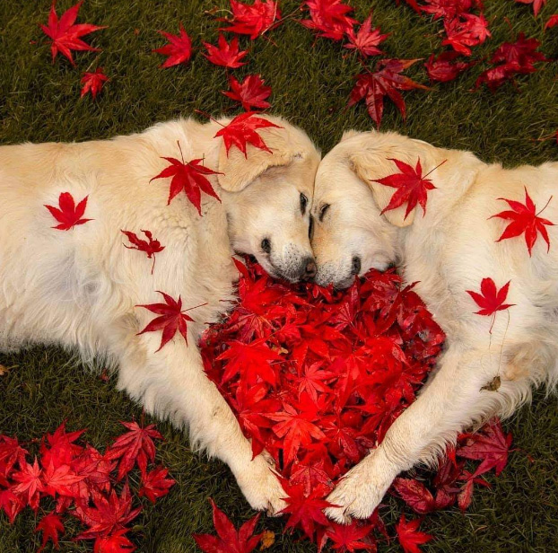 Now This Is What I Call True Love now-this-is-what-i-call-true-love