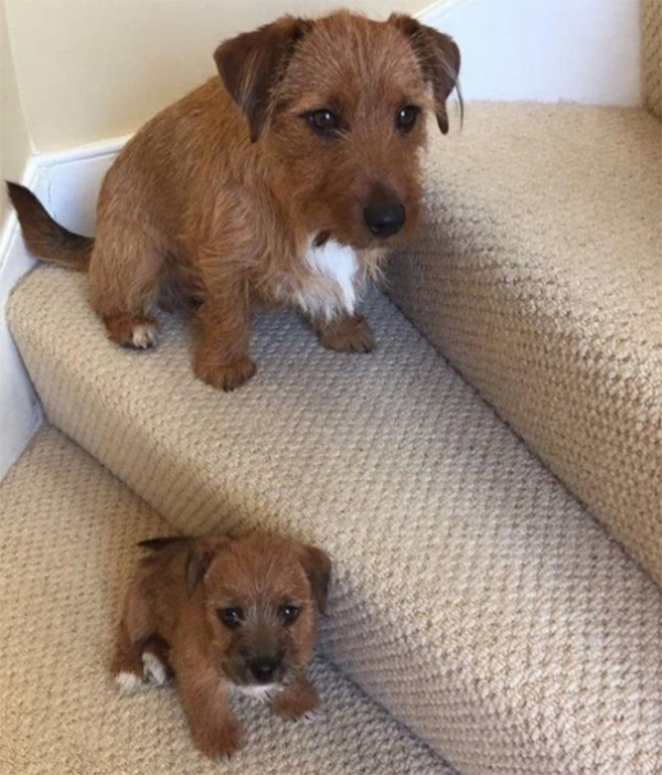 Cute Animal Pictures: Happy and Funny Pictures 504