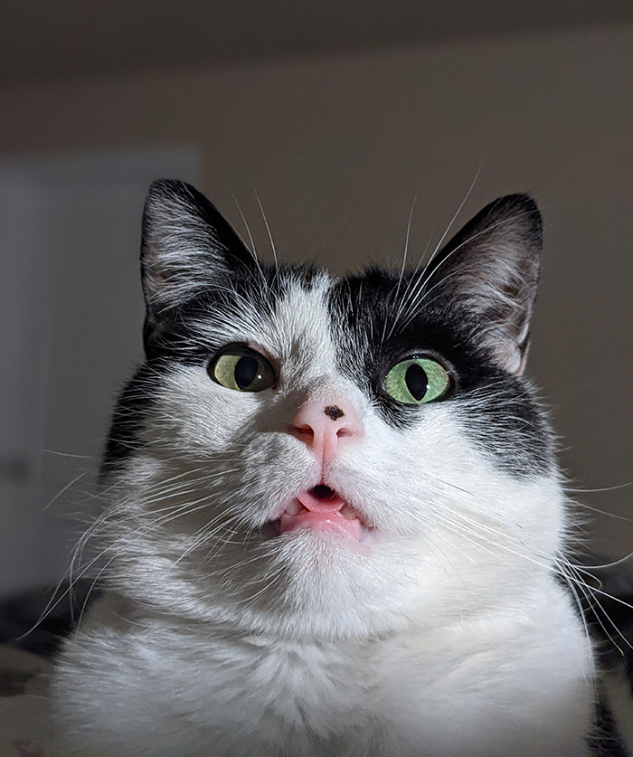 I woke up to this face