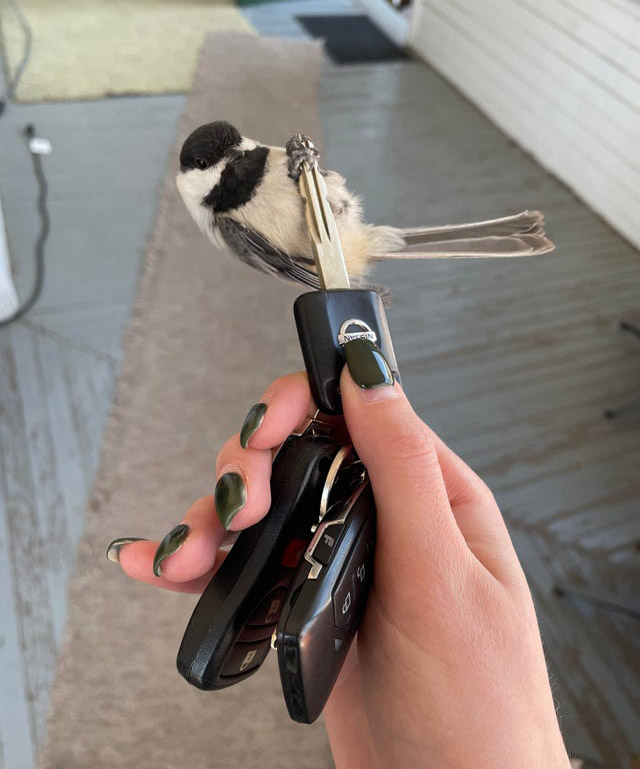 So this happened to me today