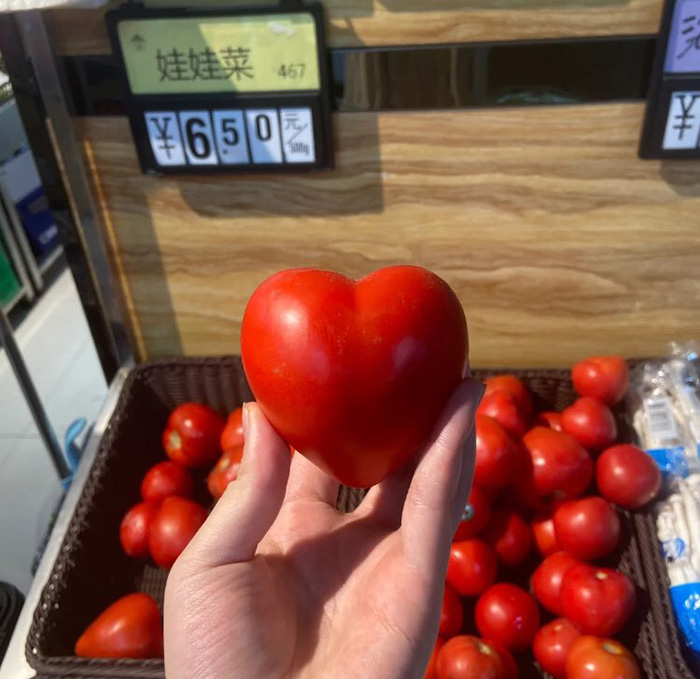 heart shaped tomato