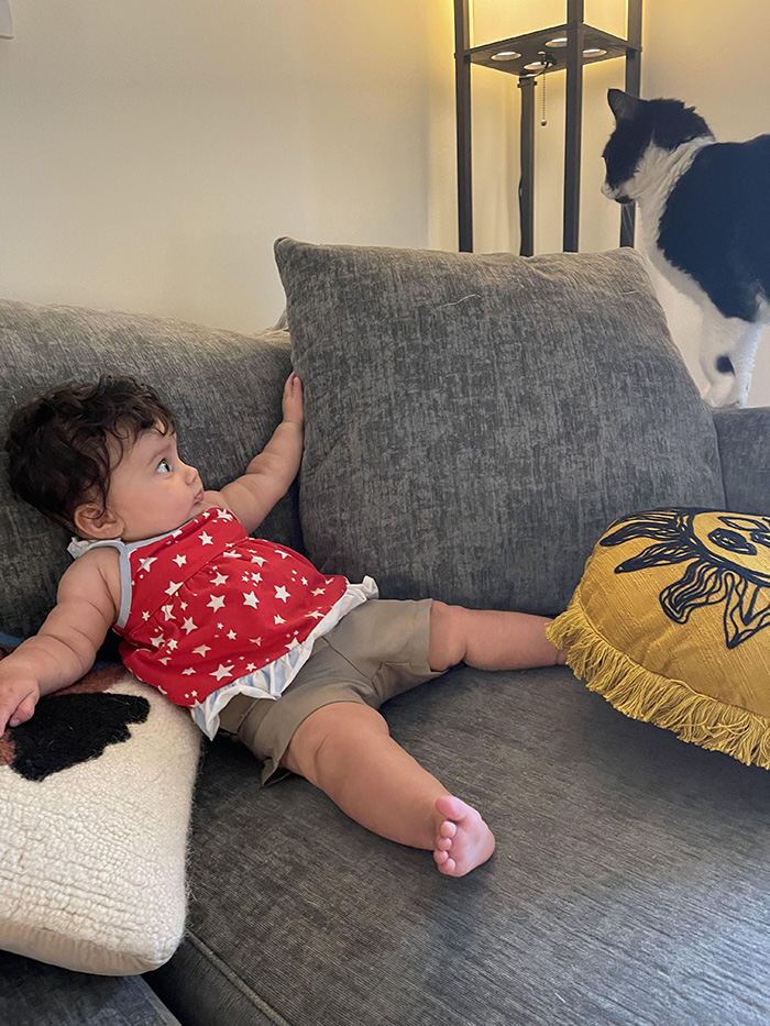 My 5 month old daughter just realized we own a cat