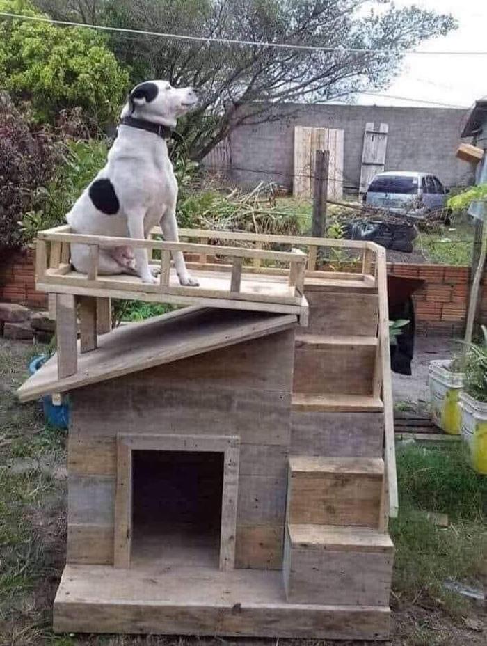 He looks very happy with his new house with a terrace