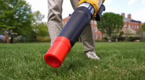 Good News | Positive News Stories | Happy News 10