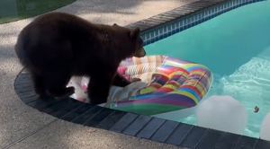 Breathtaking: Hilarious Realtor Video Edit By Gen Z Employee Goes Viral